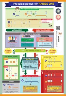Rabies post exposure prophylaxis - Aonang Medical Clinic